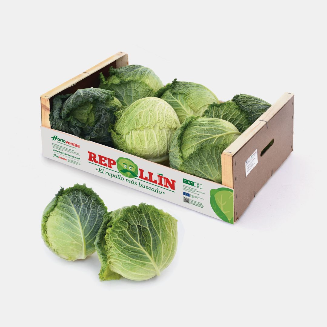 Diseño y fabricación de Etiqueta para cajas de repollo de Hortoventas ...